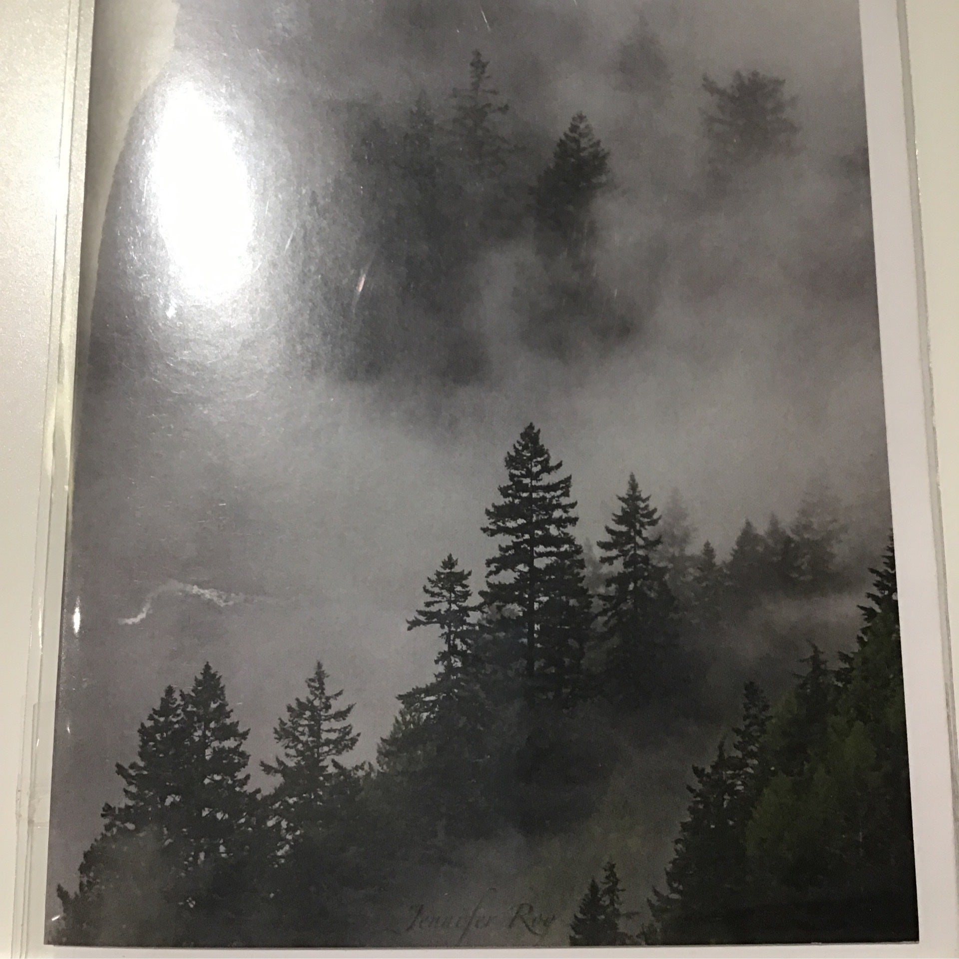 "Silver Mist" Card by Jennifer Roy | Chilliwack Museum & Archives