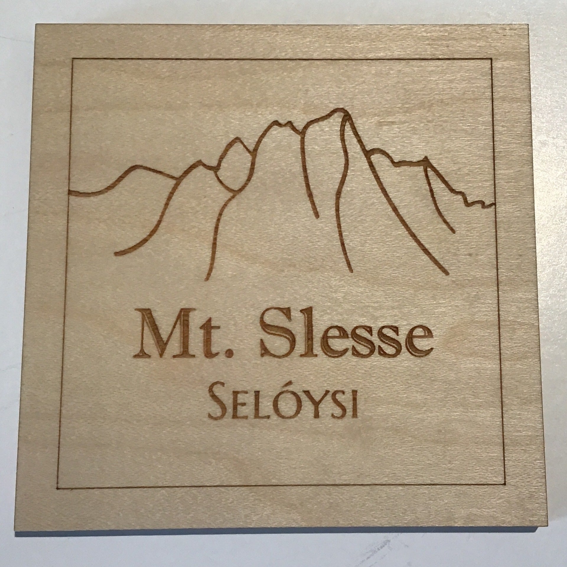 Seloysi/Mt. Slesse Wood Coaster Birch & Blaze | Chilliwack Museum ... Seloysi/Mt. Slesse Wood Coaster Birch & Blaze | Chilliwack Museum ...